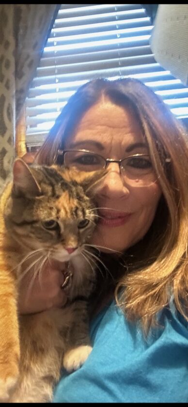 Runaway kitty: Kindness of locals reunites cat and owner just before ...